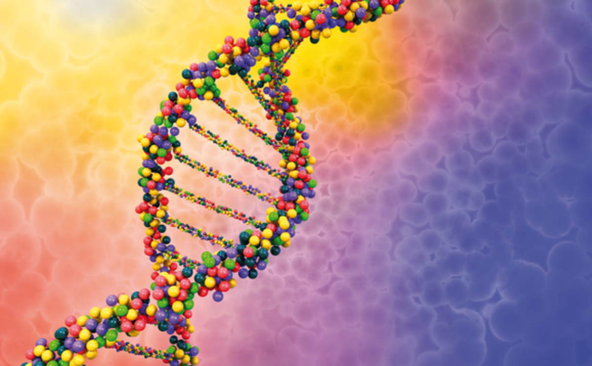 From pharma to finance: Cracking the DNA of data management ...