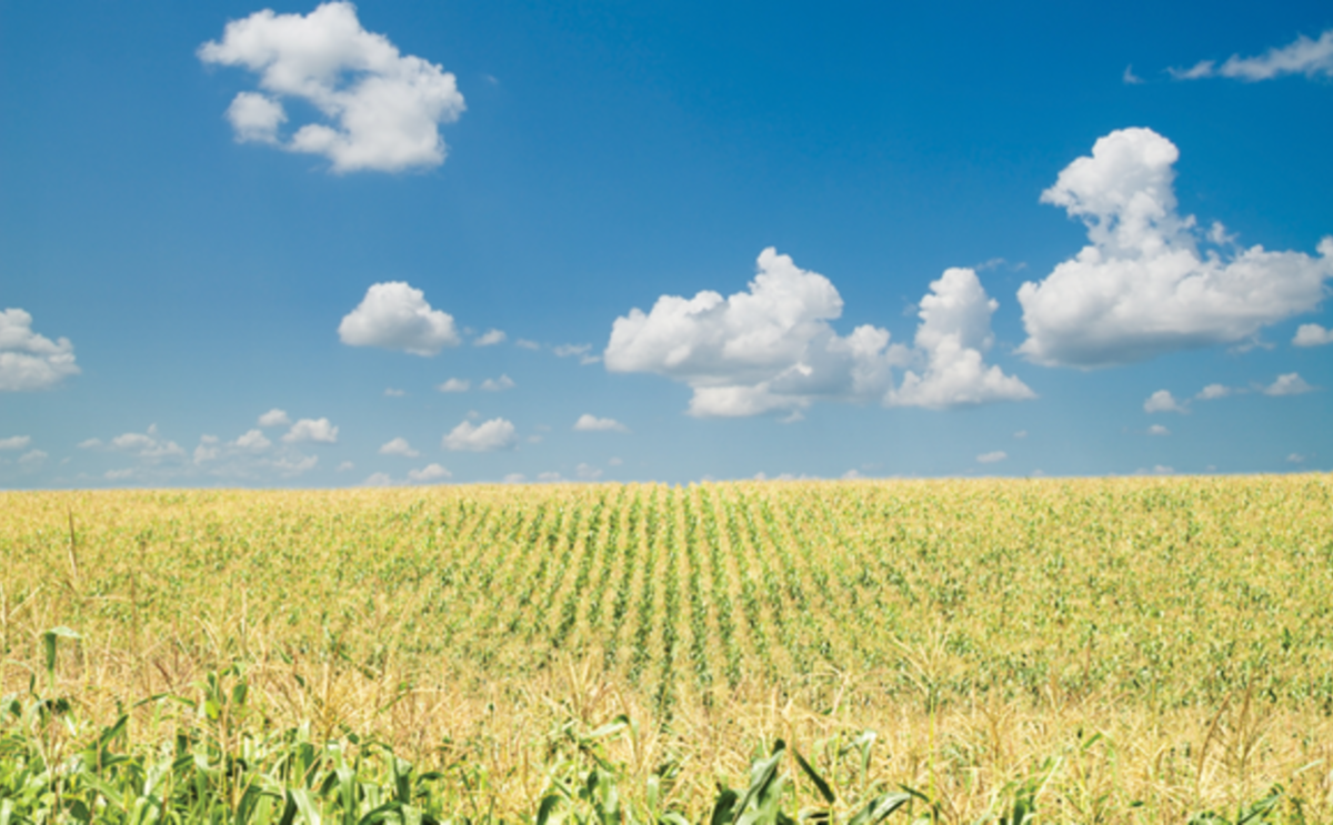 Miles Cap Live on Indata's iPM Cloud - WatersTechnology.com