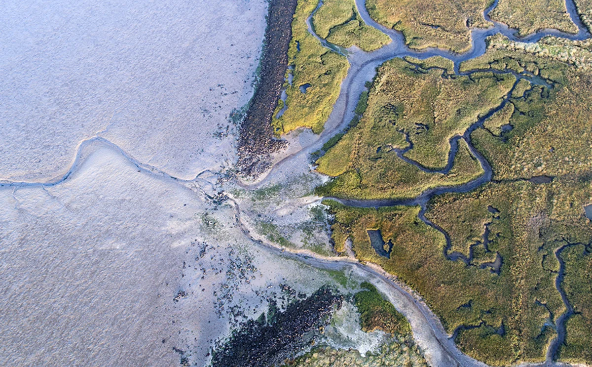 Semantics’ Seminal Moment - WatersTechnology.com