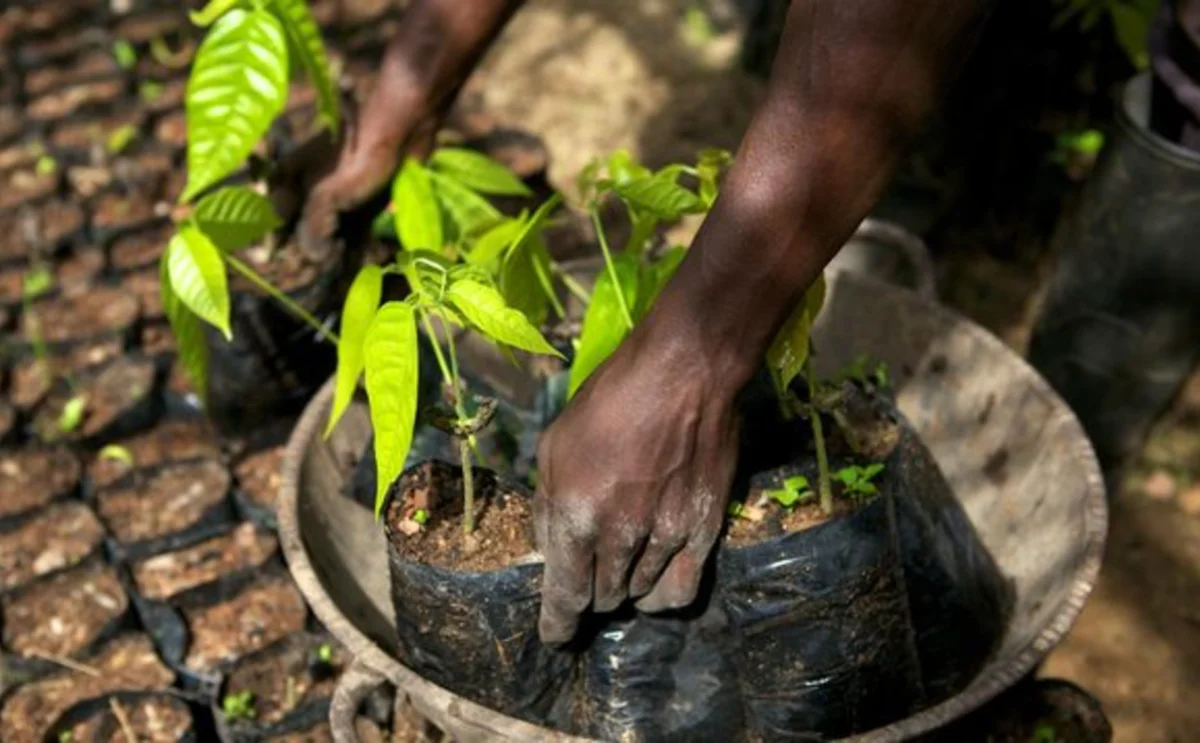 Disintermediating Trade Credit with Tech─Can It Be Done ...